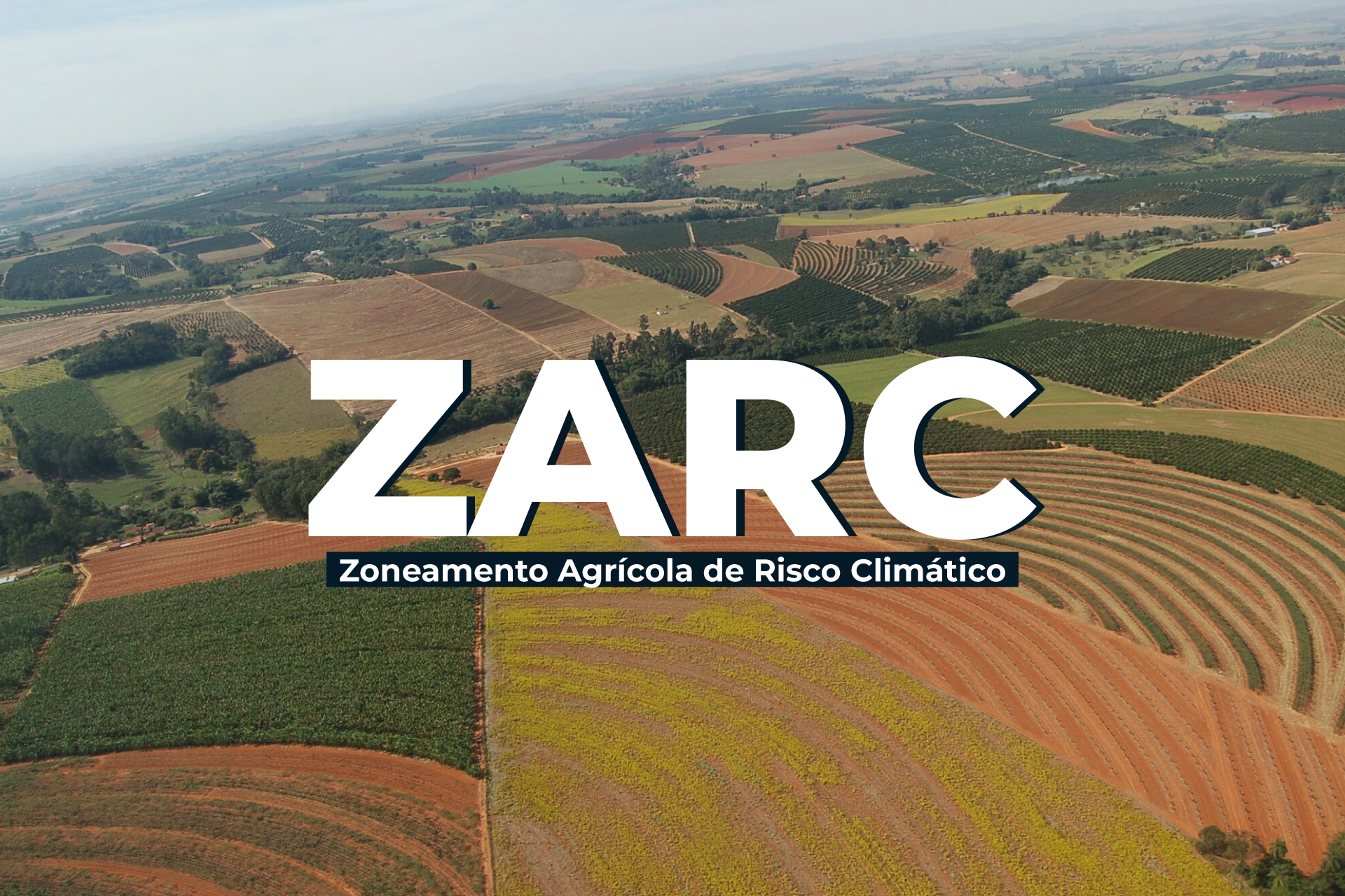 Zarc: o que é e como consultar seus dados - Sensix Blog